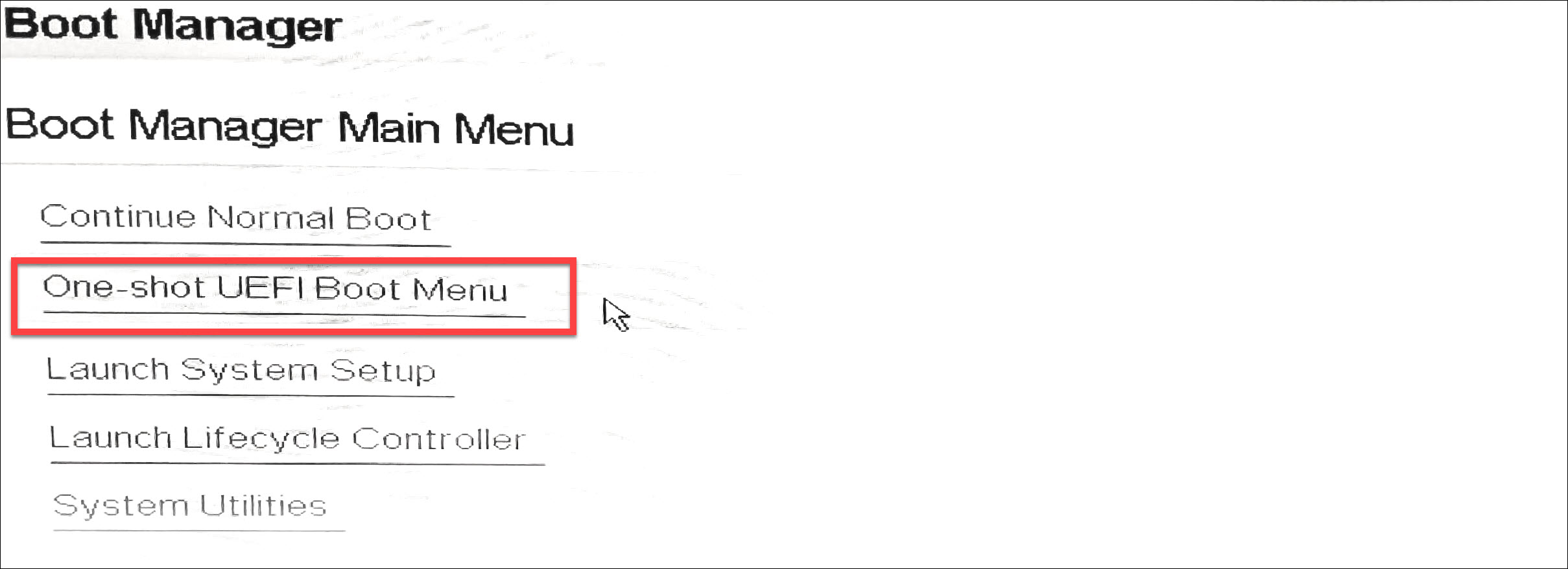 Imaging a DELL PowerEdge Rack Server computer with the Datto SIRIS Imager